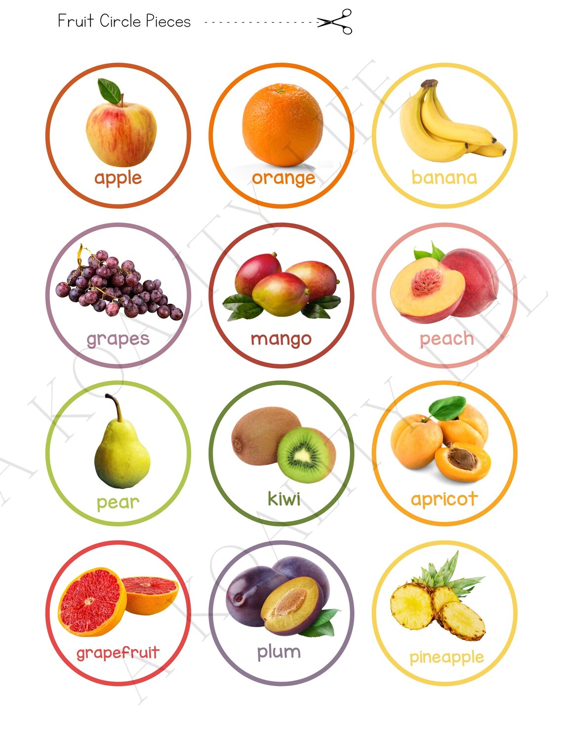 Fruit Vegetable Sorting Sort Match Realistic Pictures - Etsy