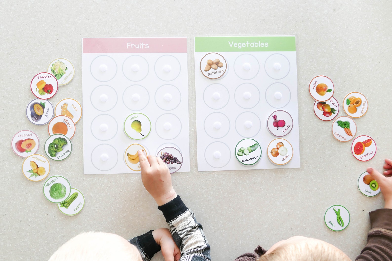 Fruit Vegetable Sorting Sort Match Realistic Pictures - Etsy