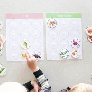Fruit Vegetable Sorting Sort Match Realistic Pictures - Etsy