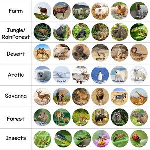Animal Habitat Activity | Habitat Match | Realistic Animal Activity ...