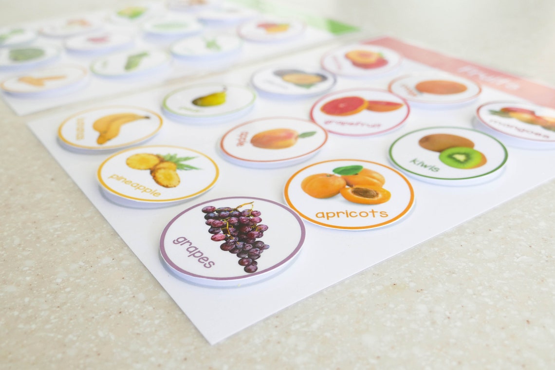 Fruit Vegetable Sorting Sort Match Realistic Pictures - Etsy