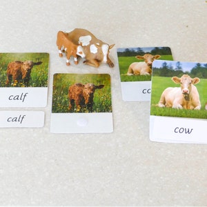 Baby Farm Animal Cards | Match | Realistic Animal Activity | 20 ...