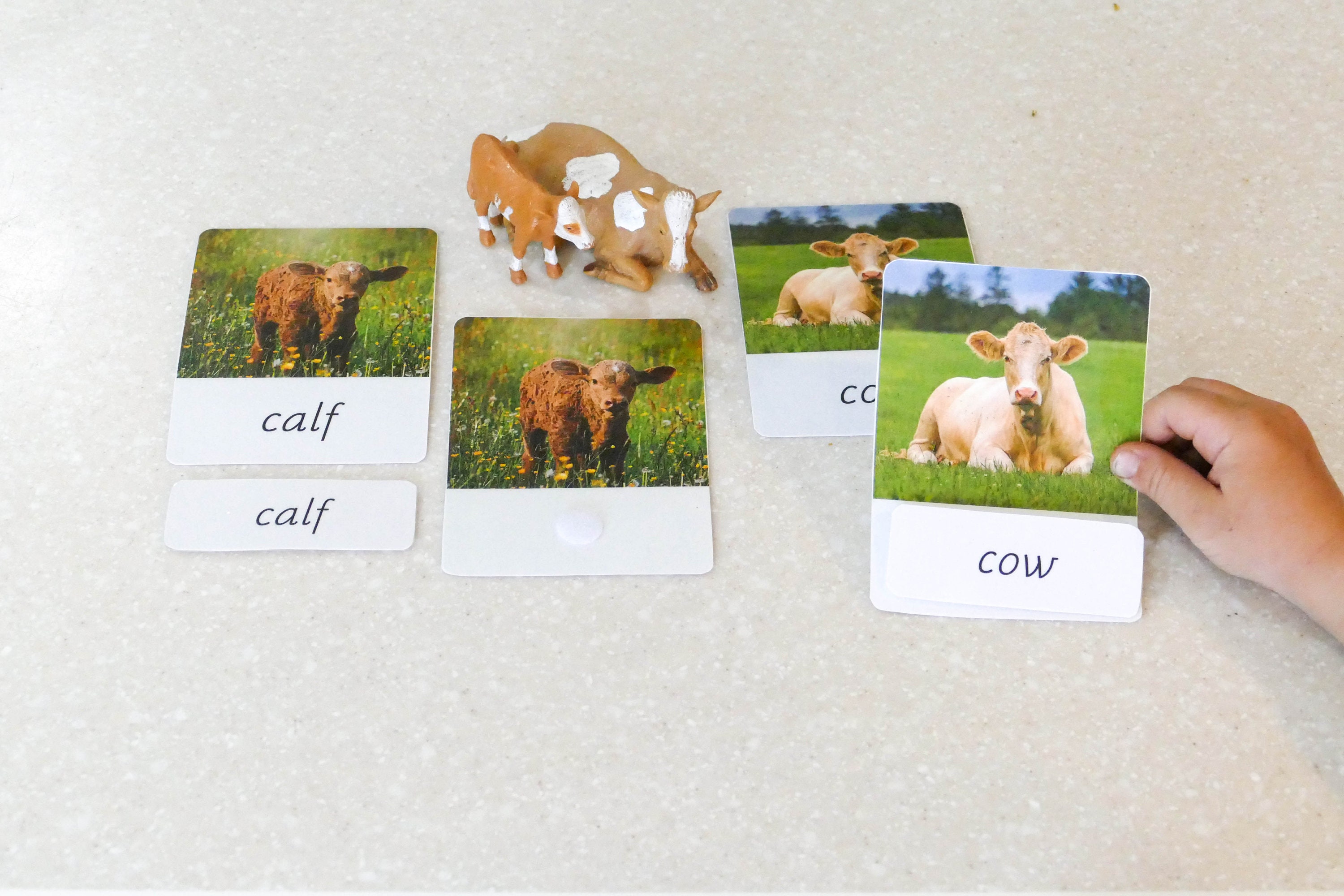Baby Farm Animal Cards | Match | Realistic Animal Activity | 20 ...