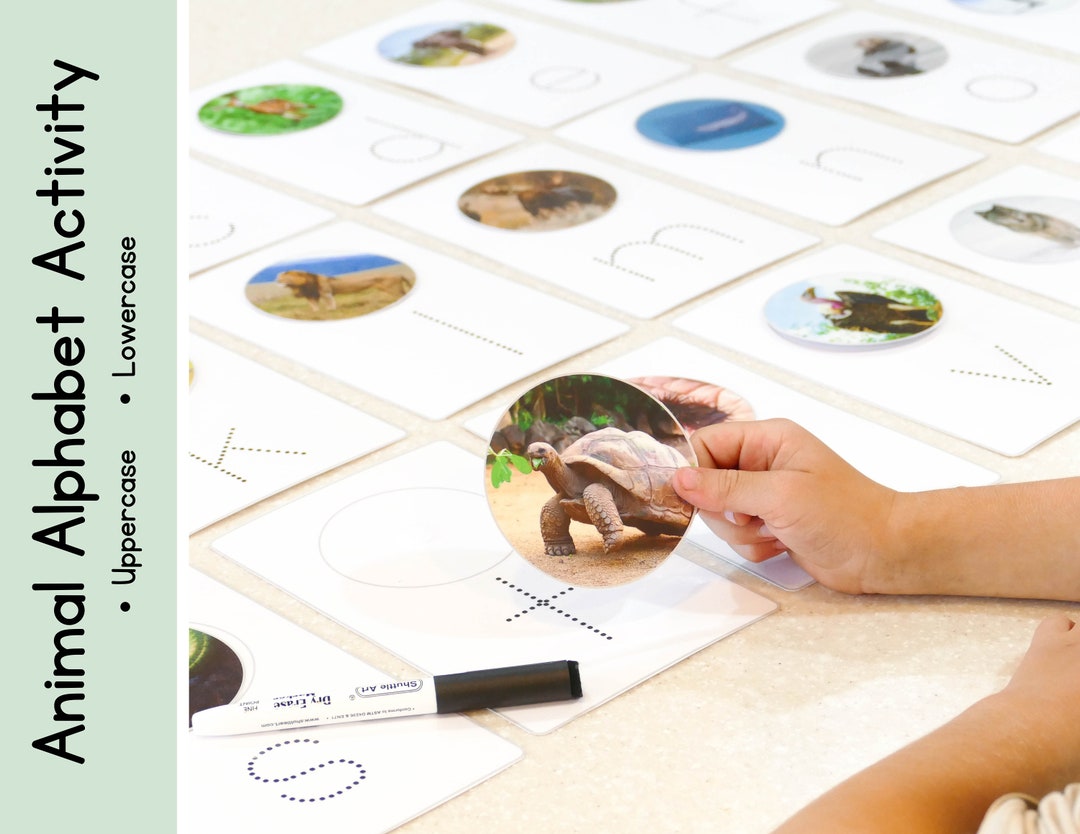 Animal Alphabet Cards | Sound Match | Realistic Animal Activity ...