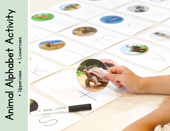 Animal Alphabet Cards Sound Match Realistic Animal - Etsy