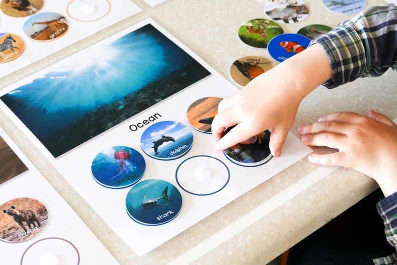 Animal Habitat Activity | Habitat Match | Realistic Animal Activity ...