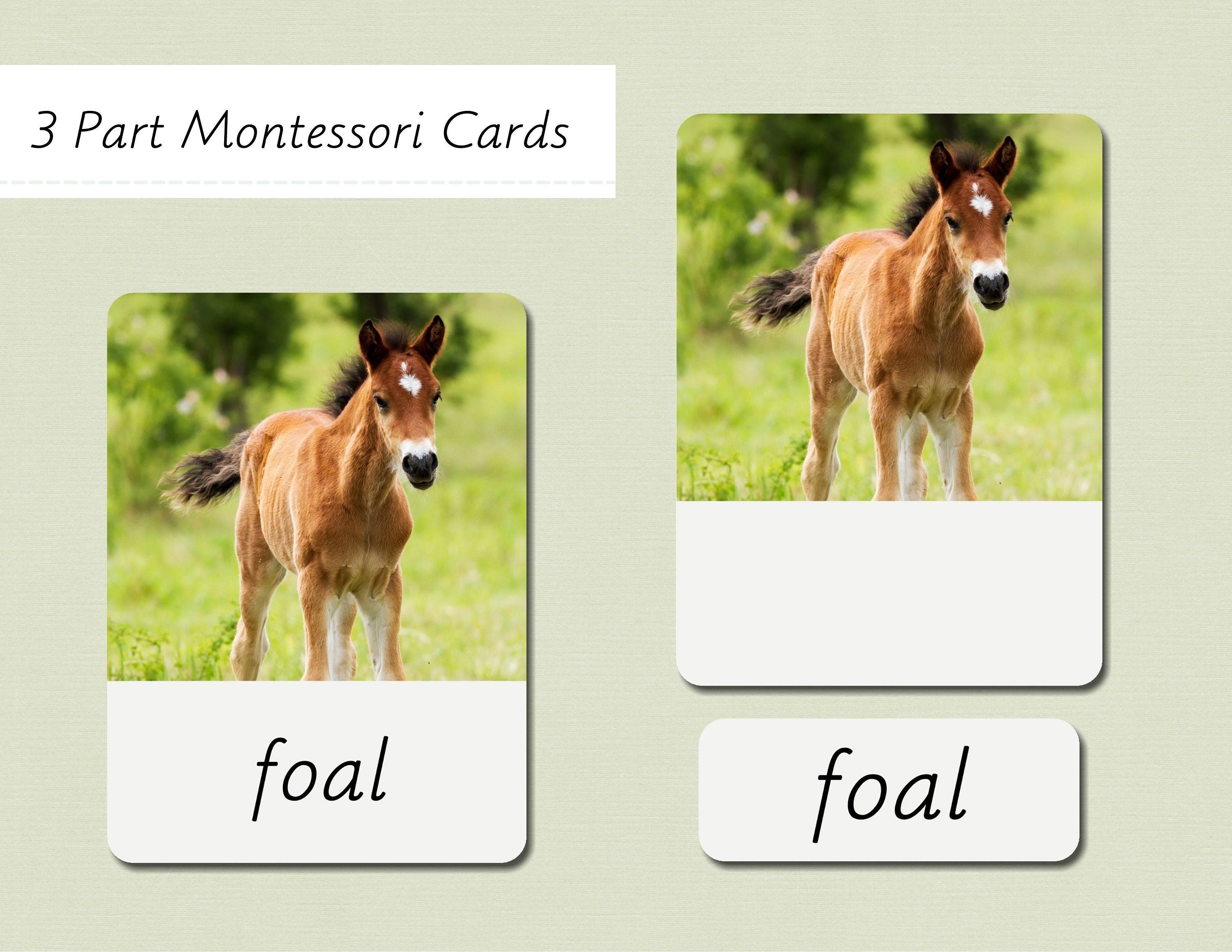 Baby Farm Animal Cards | Match | Realistic Animal Activity | 20 ...