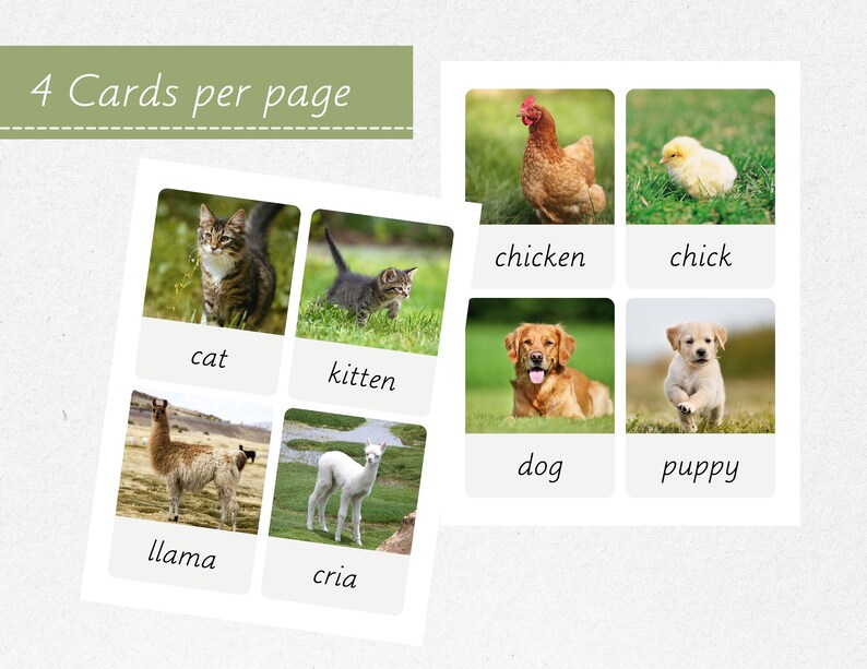 Tarjetas de animales de granja para bebés / Partido / Actividad animal ...