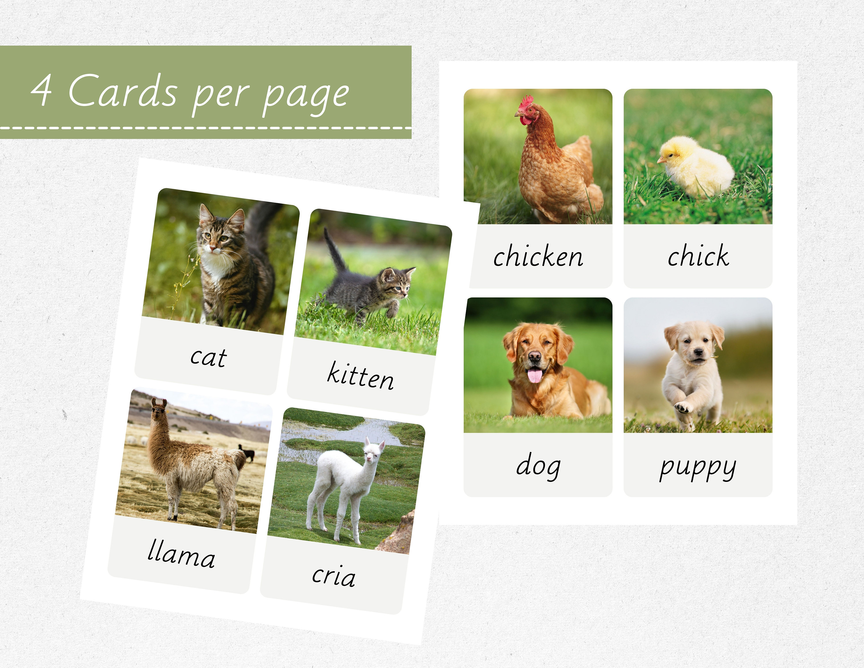 Baby Farm Animal Cards | Match | Realistic Animal Activity | 20 ...