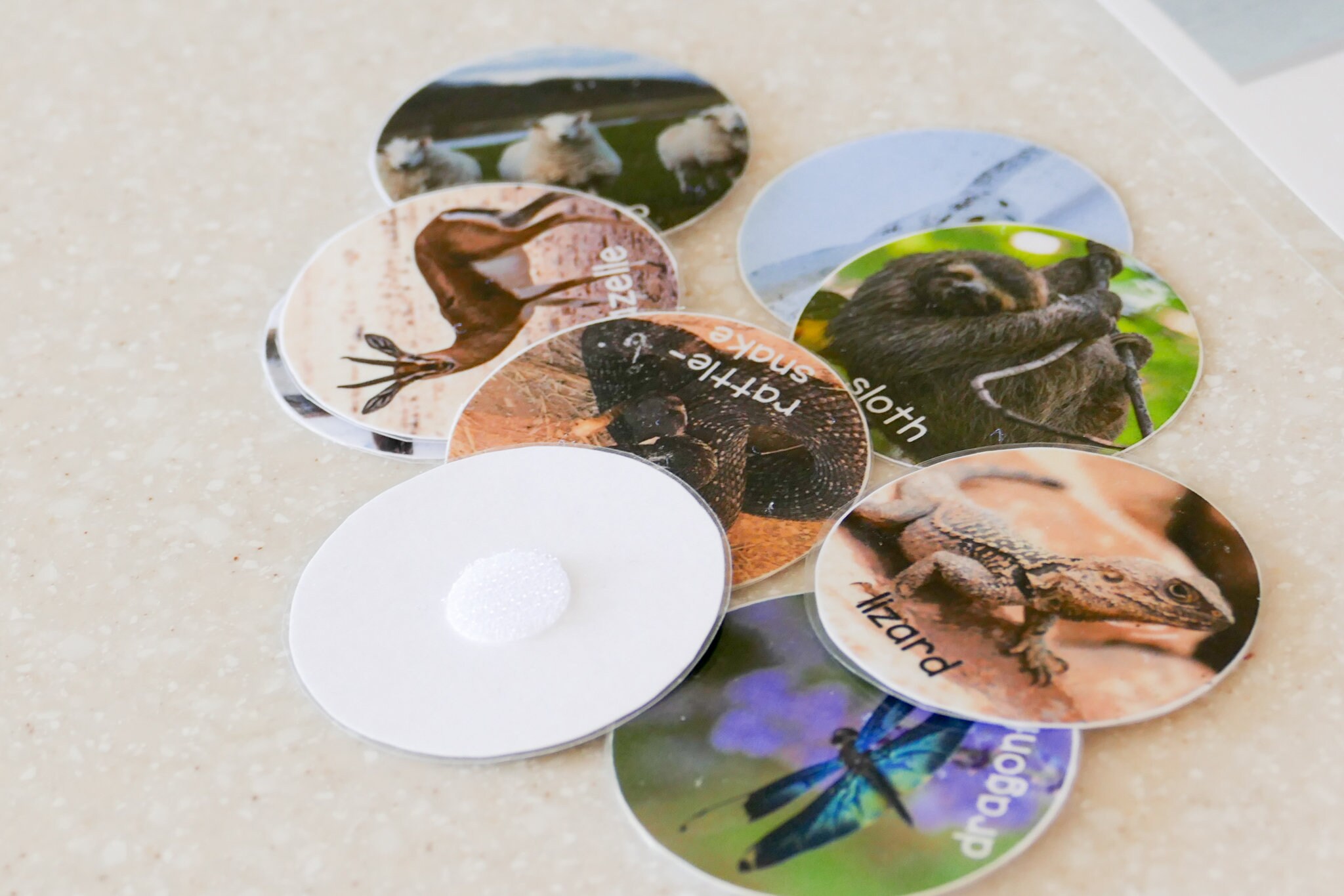 Animal Habitat Activity | Habitat Match | Realistic Animal Activity ...