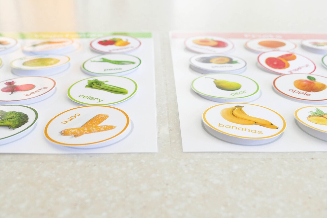 Fruit Vegetable Sorting Sort Match Realistic Pictures - Etsy