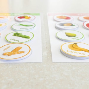 Fruit Vegetable Sorting Sort Match Realistic Pictures - Etsy