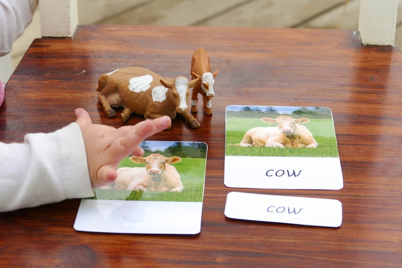 Tarjetas de animales de granja para bebés / Partido / Actividad animal ...