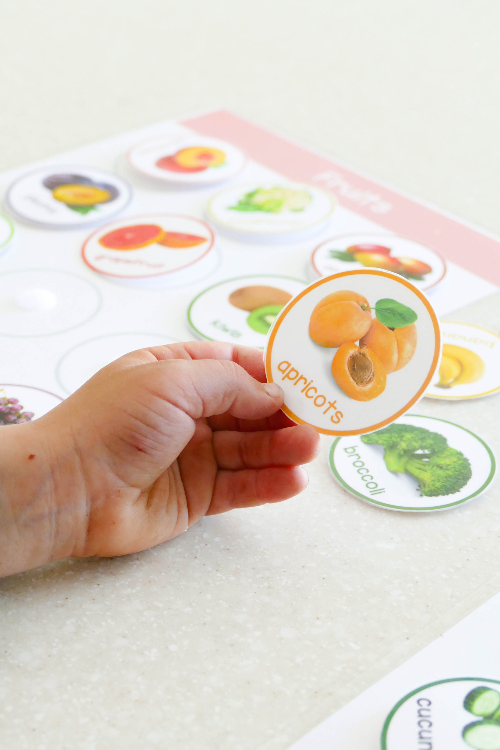 Fruit Vegetable Sorting Sort Match Realistic Pictures - Etsy