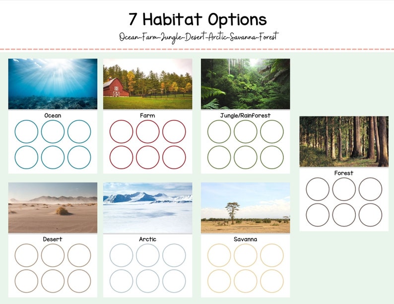 Animal Habitat Activity | Habitat Match | Realistic Animal Activity ...