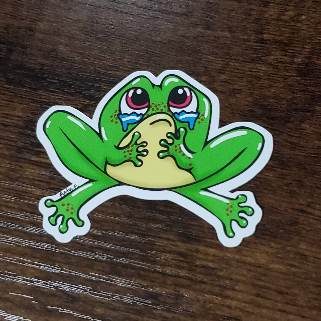 Cute Sad Frog Sticker Planner Journal Sticker 3 Inch Sticker Crying ...
