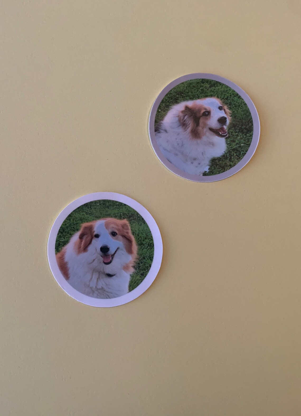 Custom Picture Stickers - Etsy