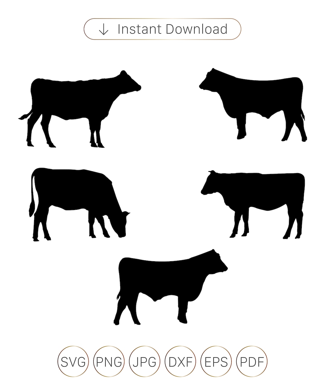 Show Heifer SVG, Show Heifer Silhouette, Livestock SVG, Show Heifer ...
