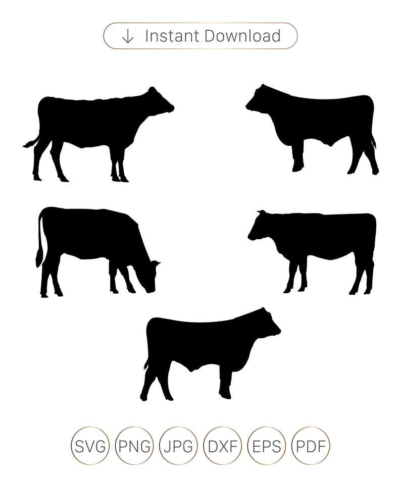 Show Heifer SVG Show Heifer Silhouette Livestock SVG Show - Etsy