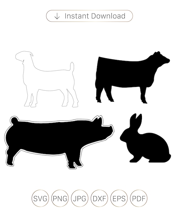 Show Animal Bundle Svgshow Pig Svgshow Steer Svgshow Heifer - Etsy