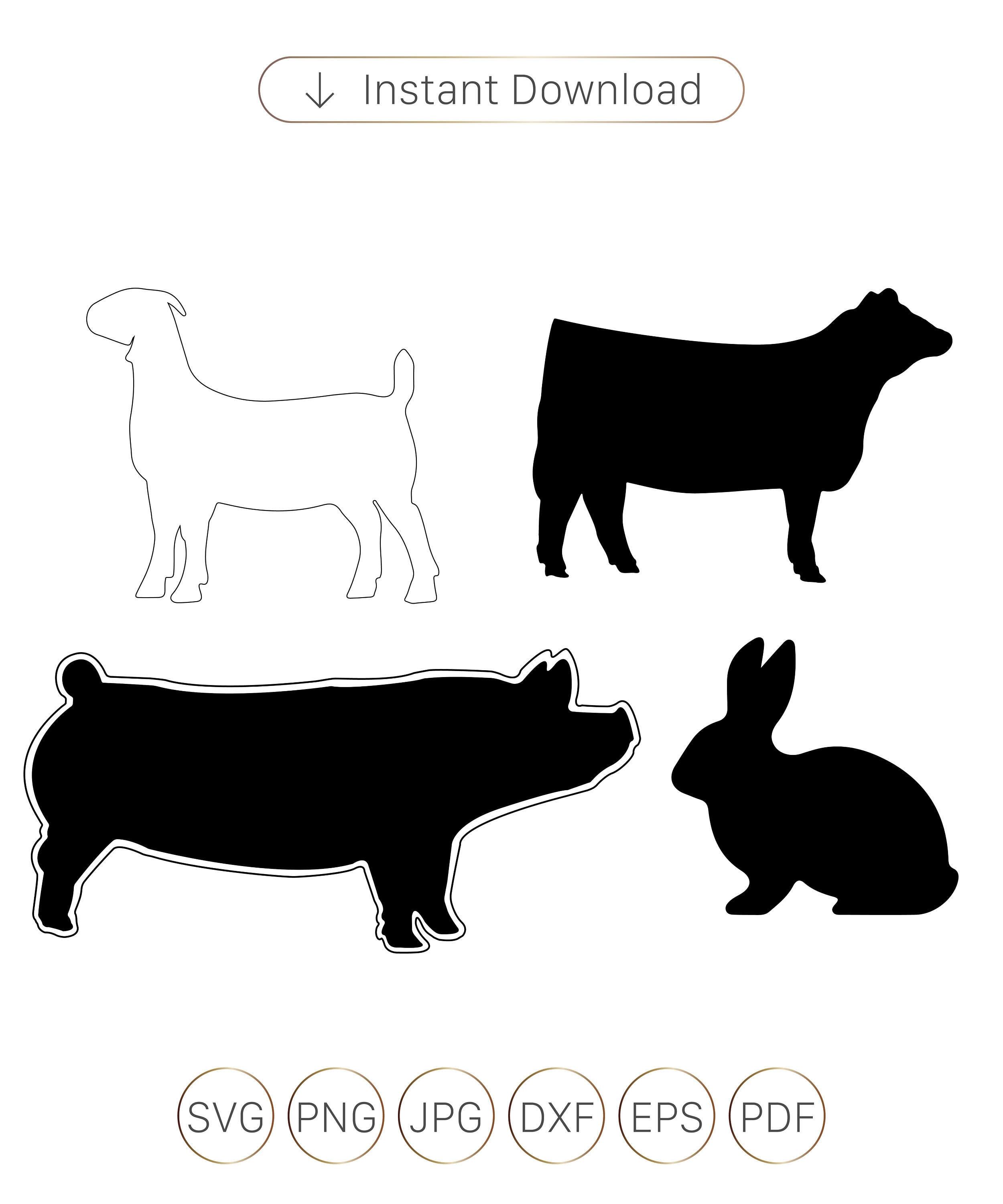 Show Animal Bundle Svgshow Pig Svgshow Steer Svgshow Heifer - Etsy