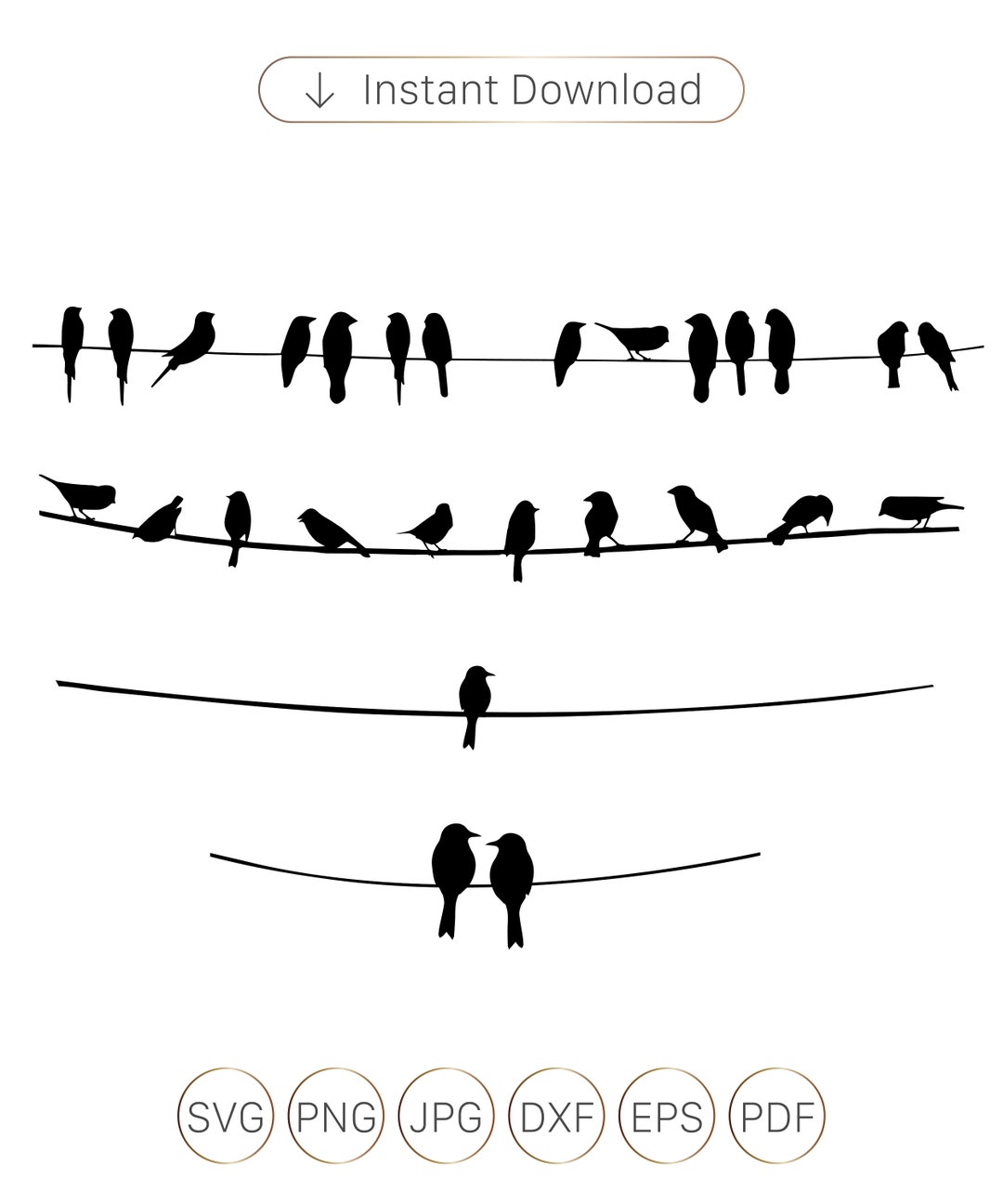 Birds SVG, Birds on Wires Svg, Birds on Branches Svg, Bird Silhouette ...