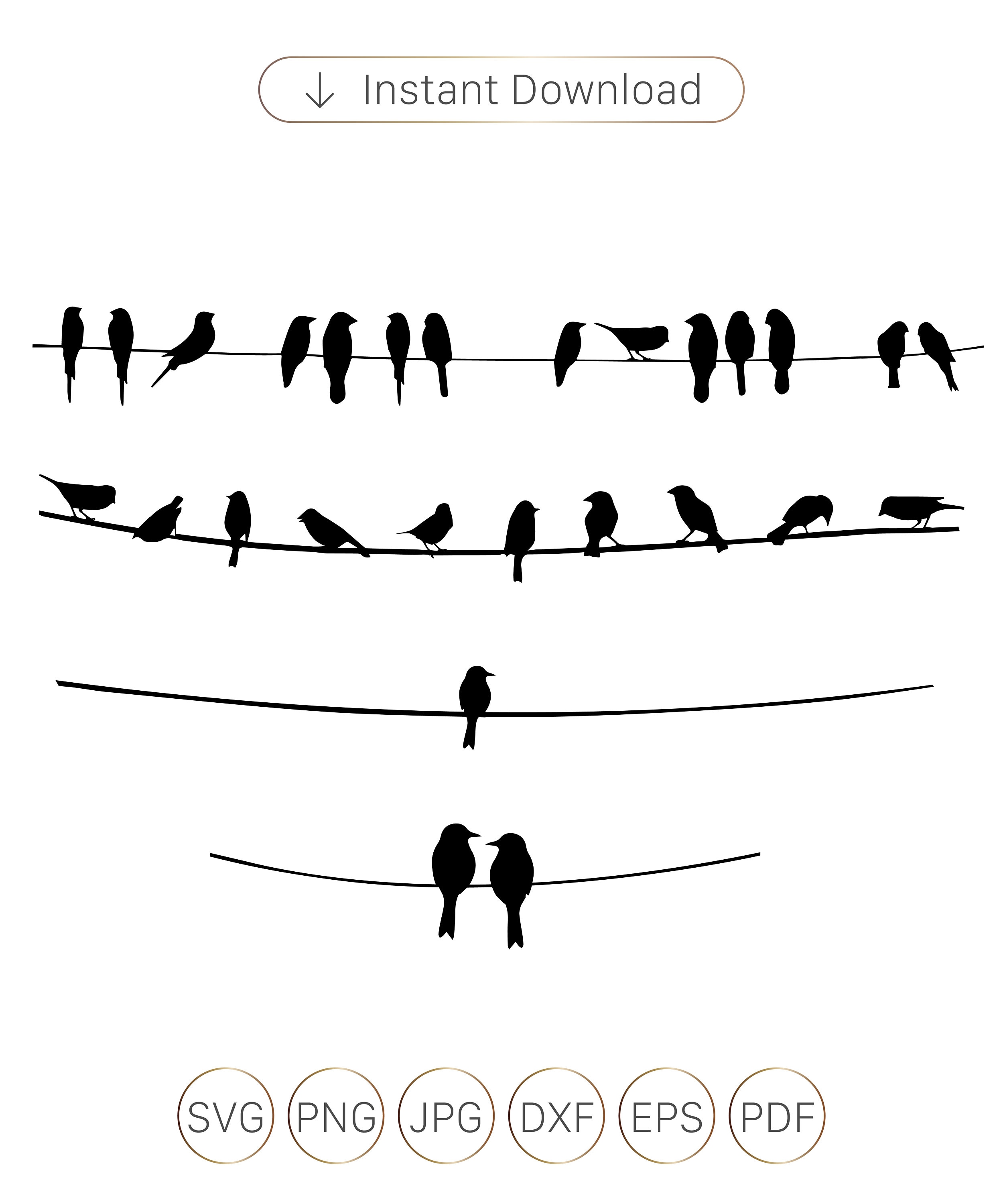 Birds SVG Birds on Wires Svg Birds on Branches Svg Bird - Etsy