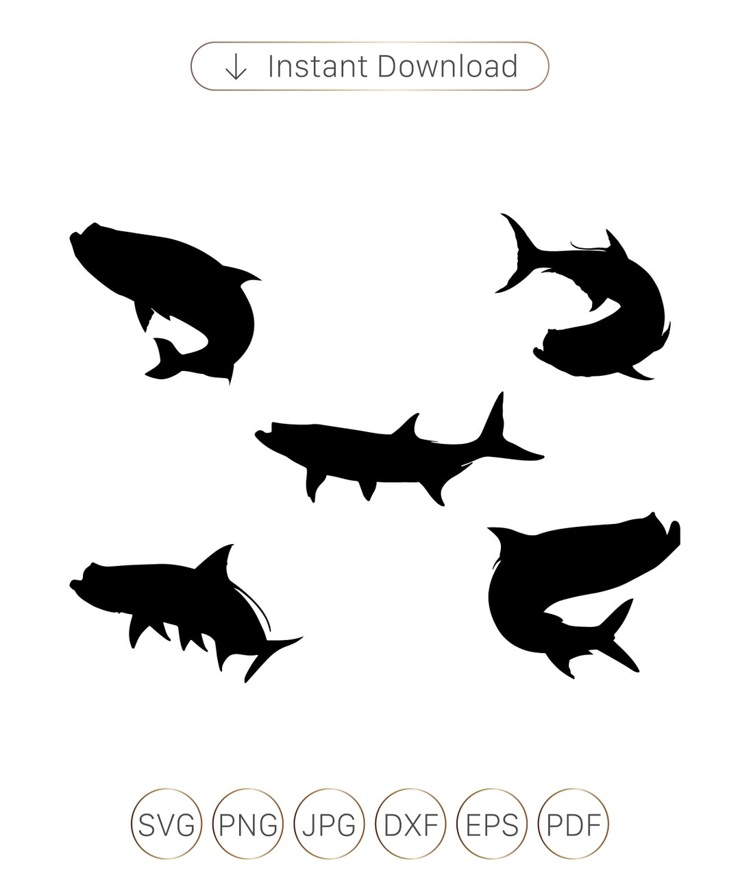 Tarpon Fishing Svg, Fishing Svg, Tarpon Fish Svg, Tarpon Clipart ...