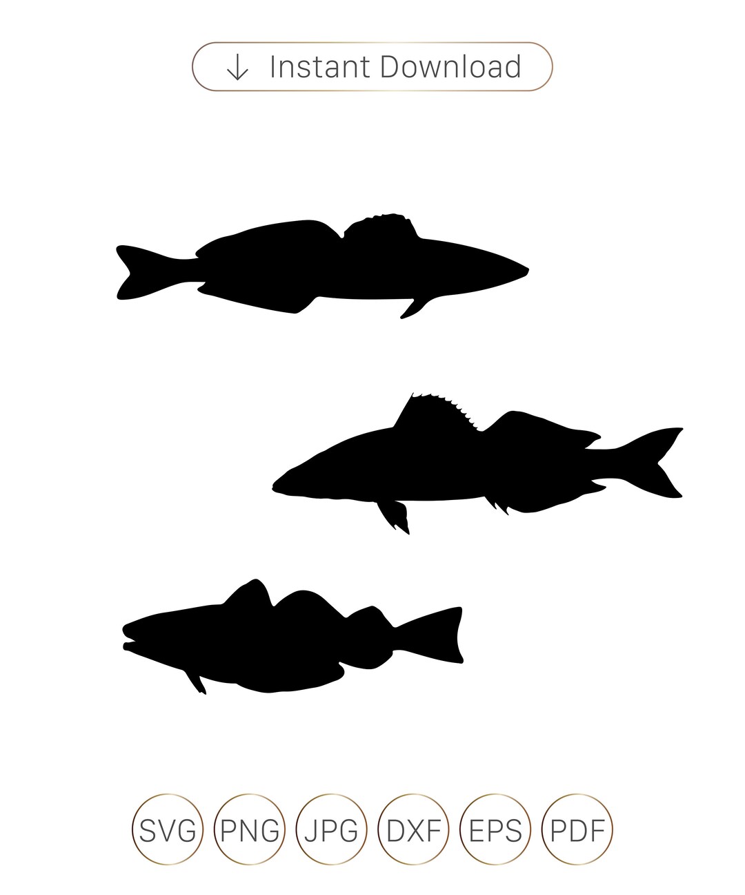 King George Whiting Fishing Svg,whiting Fish Svg,whiting Png,dxf ...