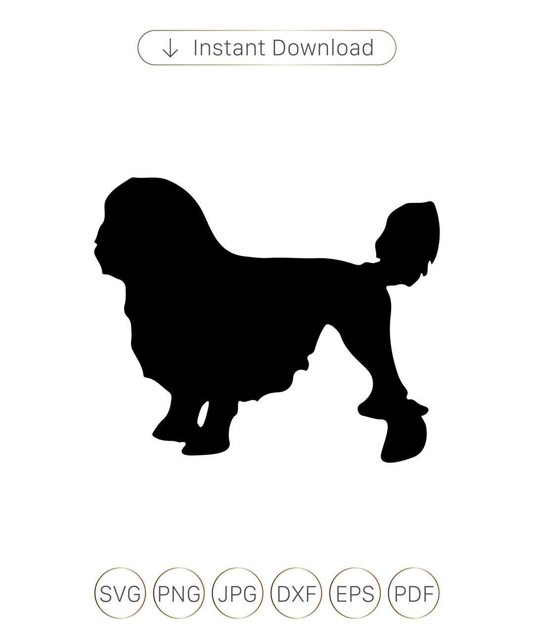 Lowchen Svg, Lowchen Silhouette, Lowchen Cricut, Lowchen Clipart ...