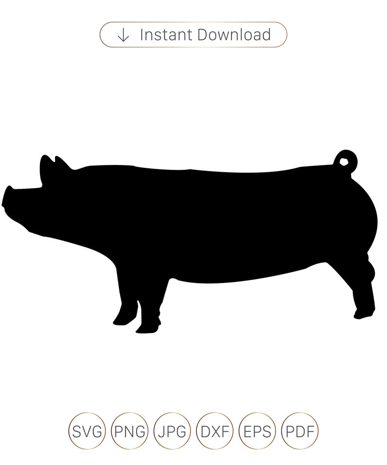 Pig SVG Pig Silhouette Show Pig SVG Show Pig Cricut Pig - Etsy