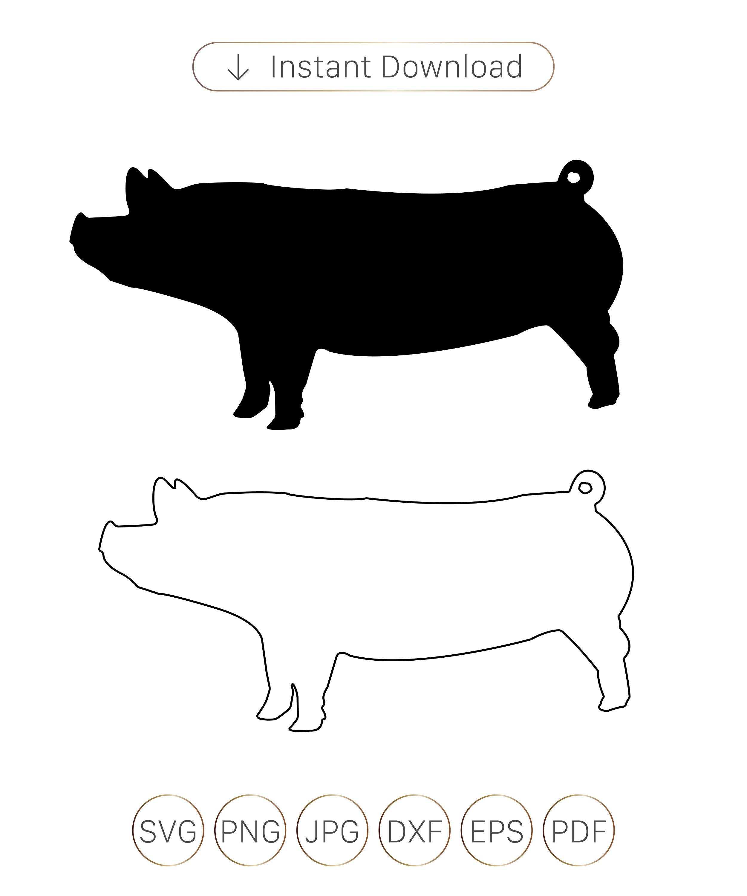 Pig Outline SVG, Pig Svg, Pig silhouette, Show Pig SVG, Show Pig Cricut ...