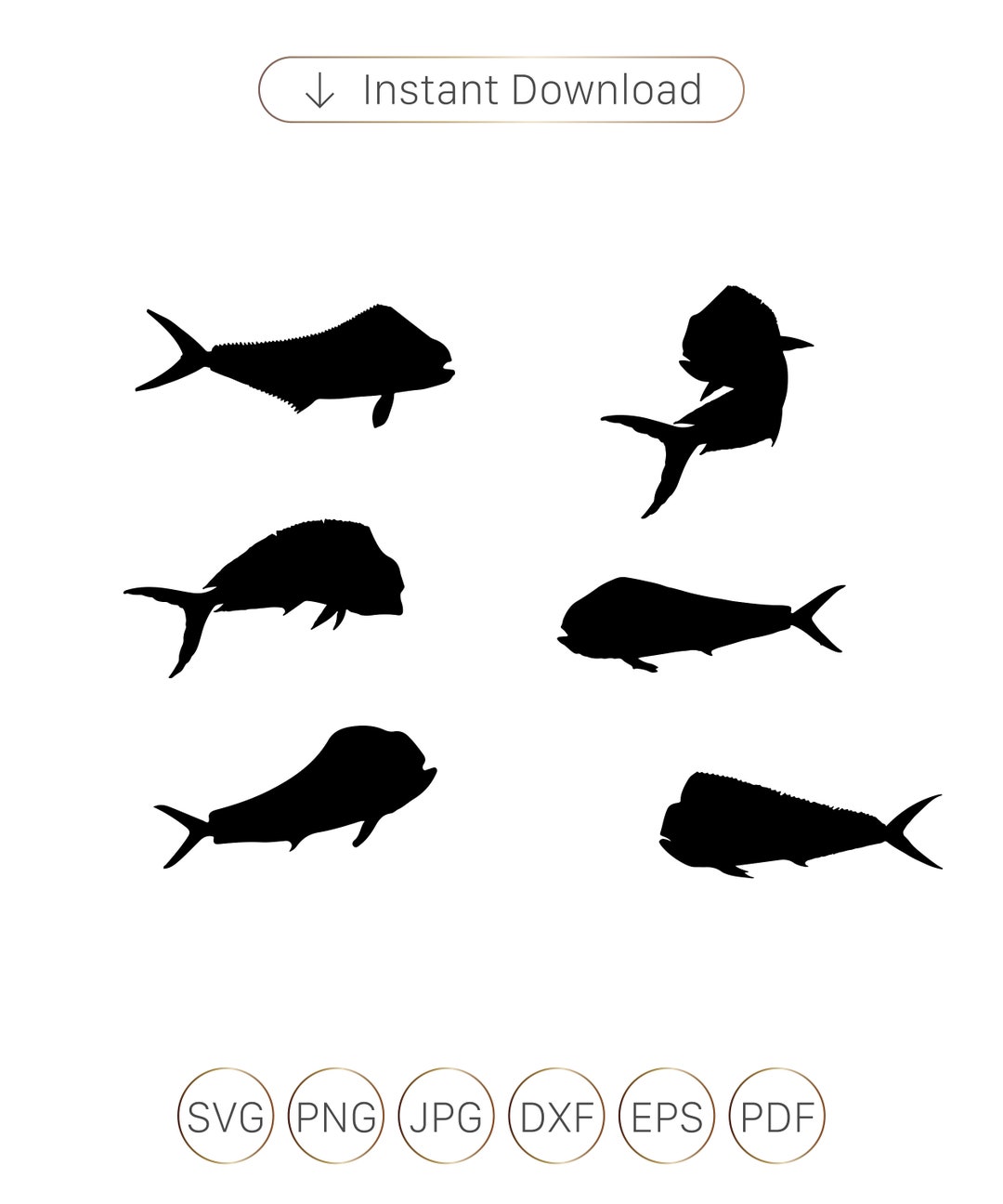 Mahi Mahi Fishing Svg, Fishing Svg, Mahi Mahi Fish Svg, Mahi Mahi ...