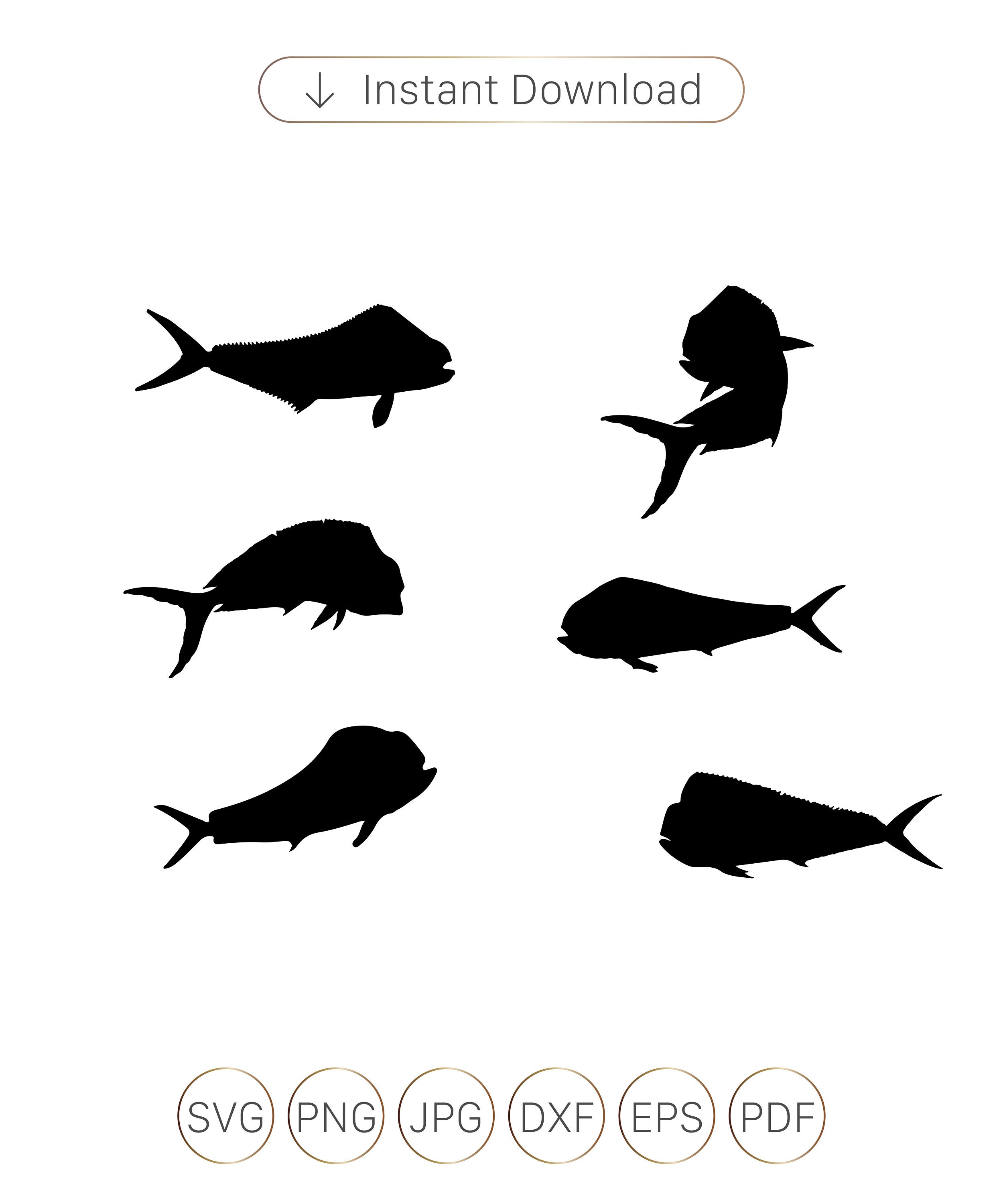 Mahi Mahi Fishing Svg, Fishing Svg, Mahi Mahi Fish Svg, Mahi Mahi ...