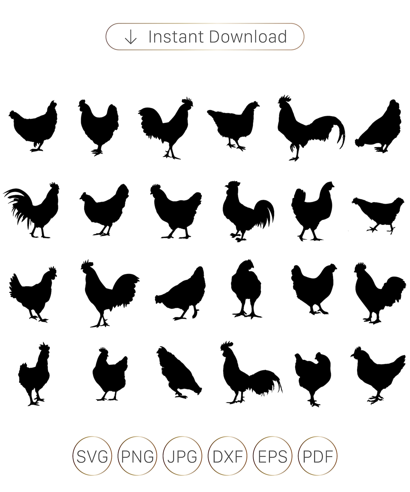 Pollo SVG Silueta de pollo Gallo svg Pollo cricut Pollo - Etsy México