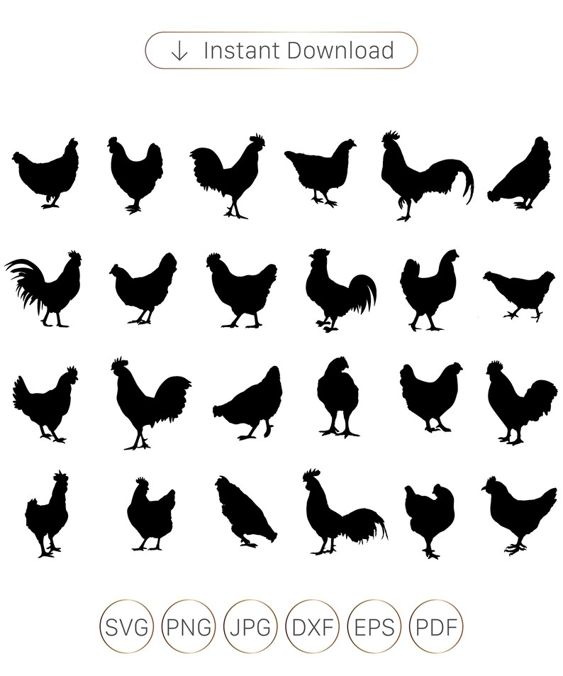 Kip SVG, Kip silhouet, Haan svg, Kip cricut, Kip cutfile, Haan clipart ...