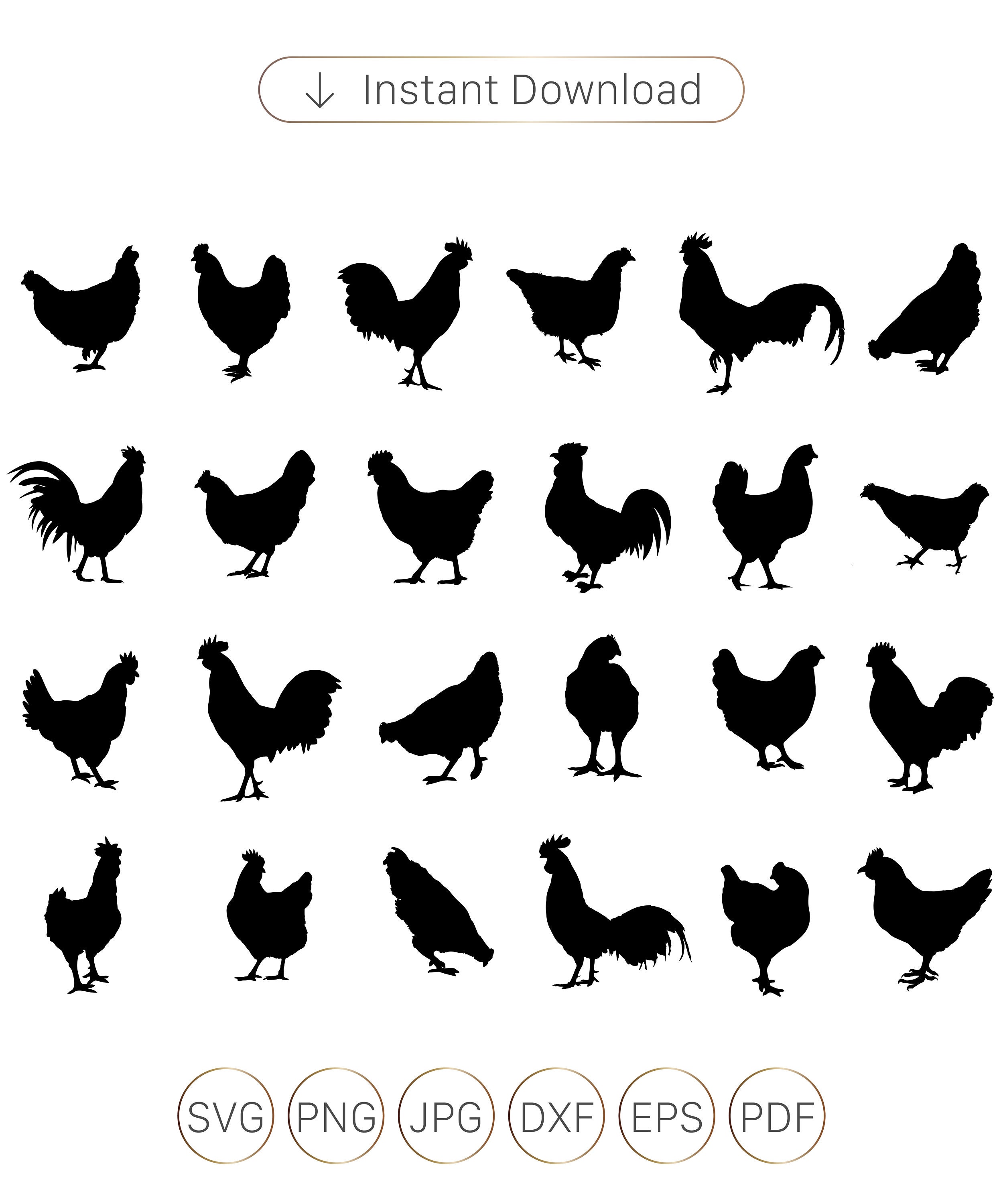 Pollo SVG Silueta de pollo Gallo svg Pollo cricut Pollo - Etsy México