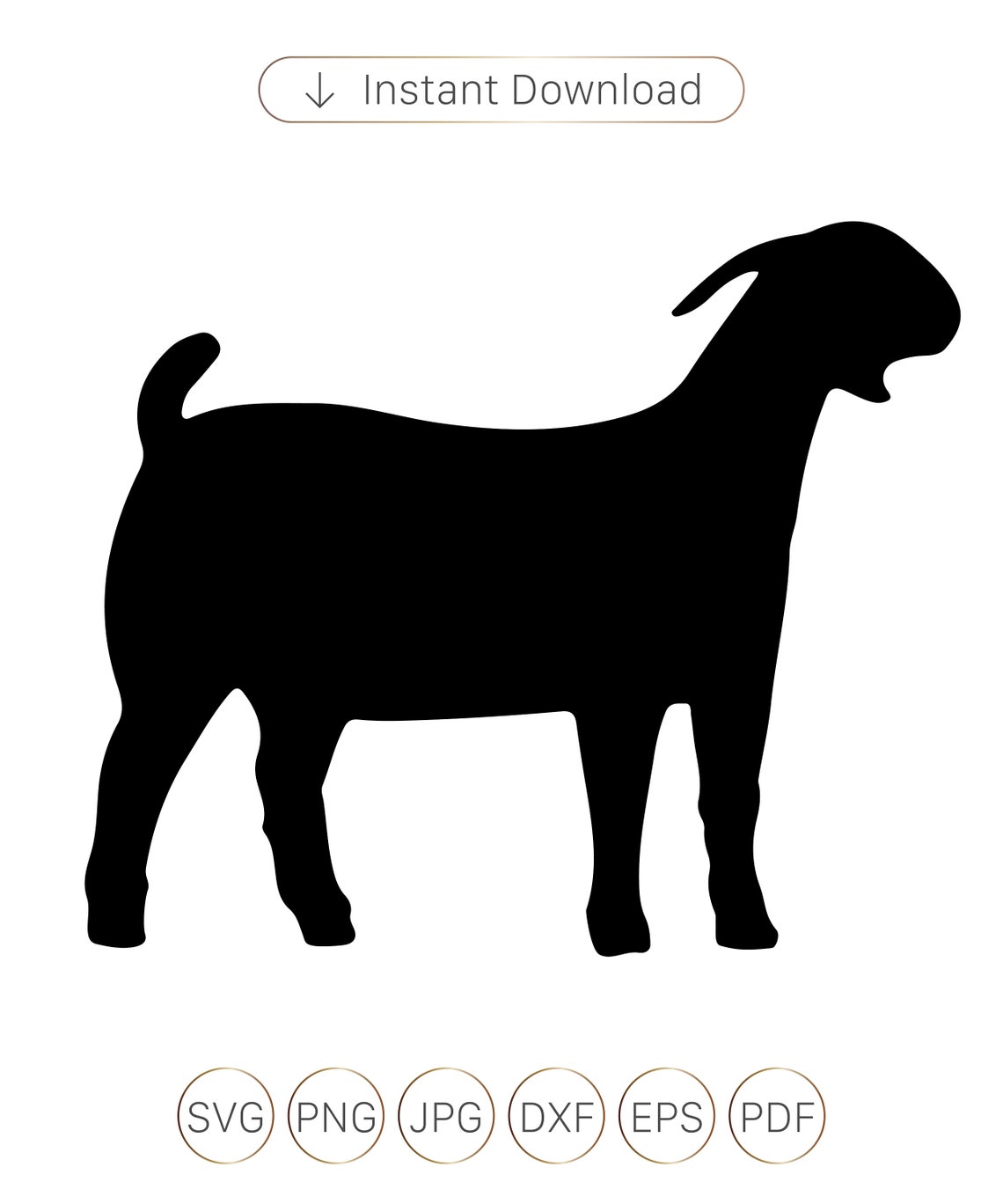 Goat SVG Goat Silhouette Boer Goat SVG Show Goat SVG Boer - Etsy