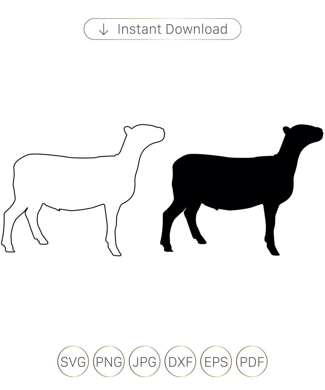 Show Sheep SVG, Show Sheep Silhouette, Show Sheep Outline, Show Sheep ...