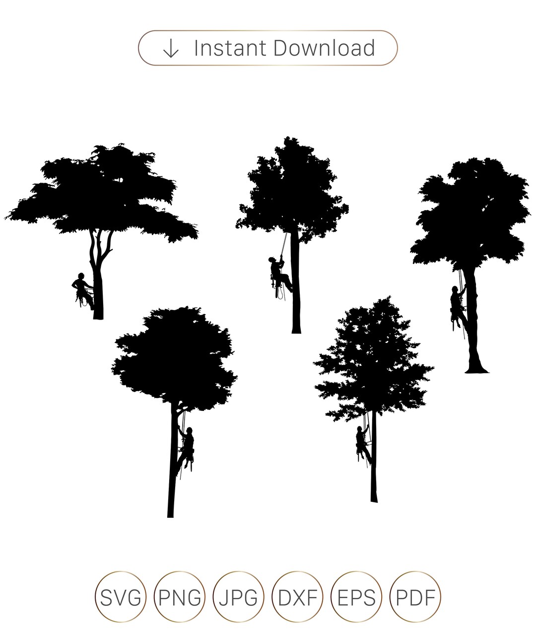 Tree Services SVG, Tree Arborist SVG, Tree Trimming SVG, Tree Climbing ...