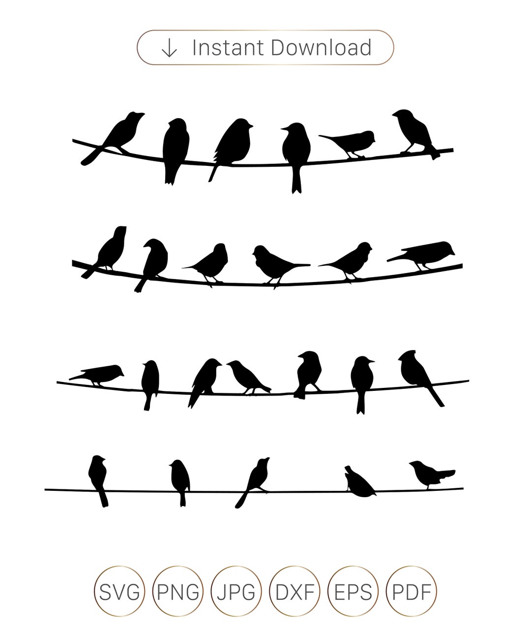 Birds SVG, Birds on Wires Svg, Birds on Branches Svg, Bird Silhouette ...
