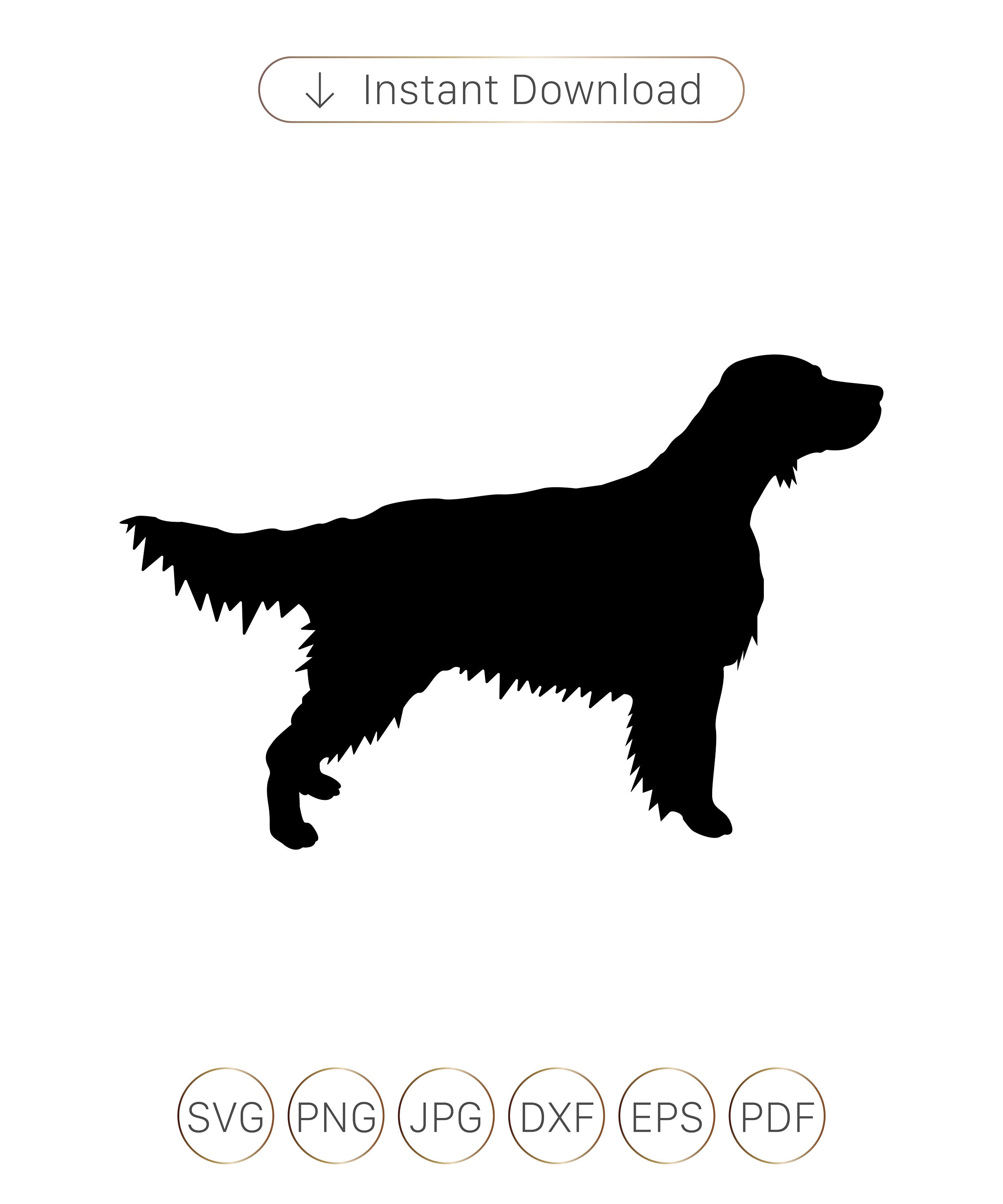 English Setter Svg,english Setter Silhouette,english Setter Cricut ...