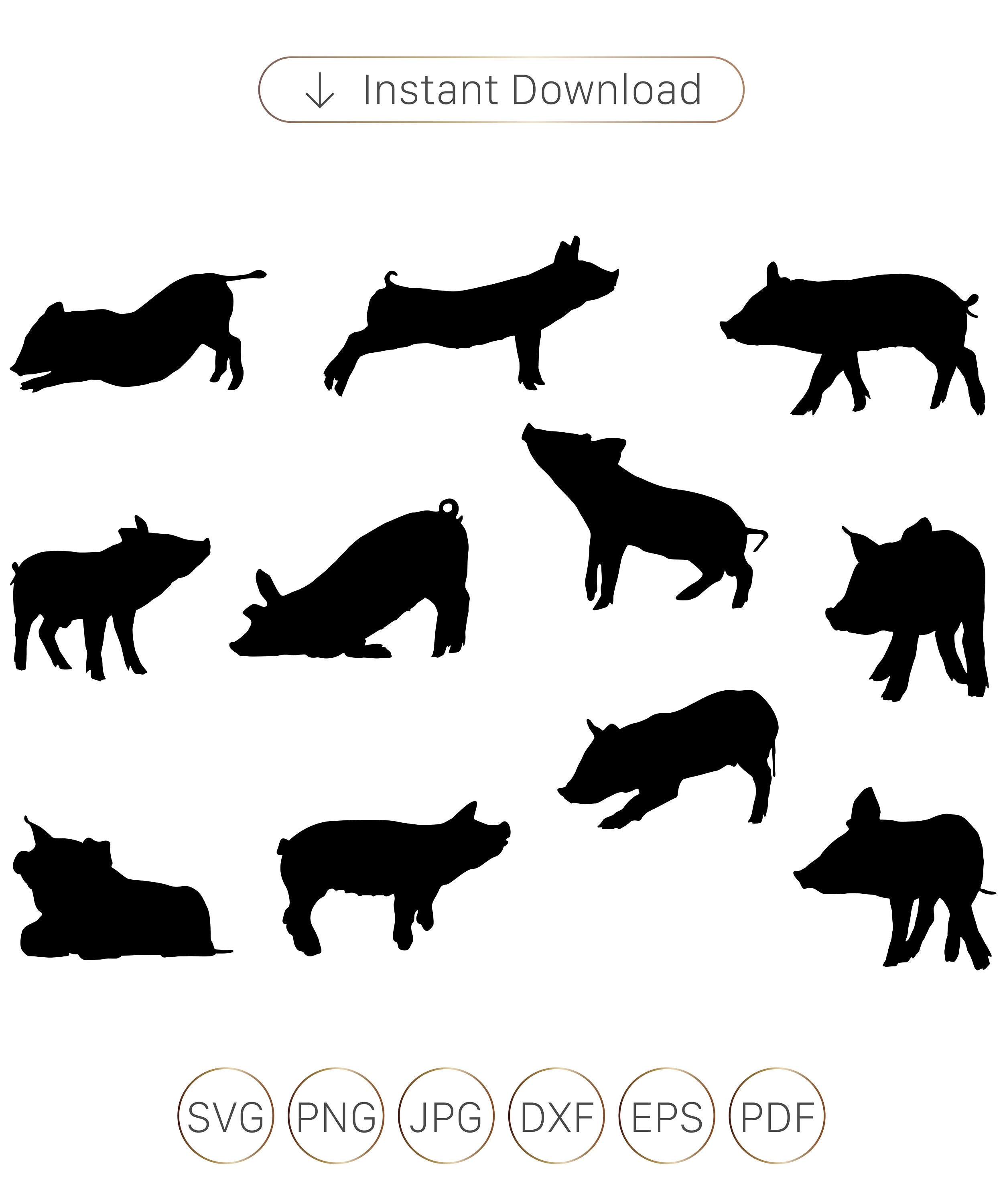 Pig SVG Piglet SVG Show Pig SVG Pig Silhouette - Etsy