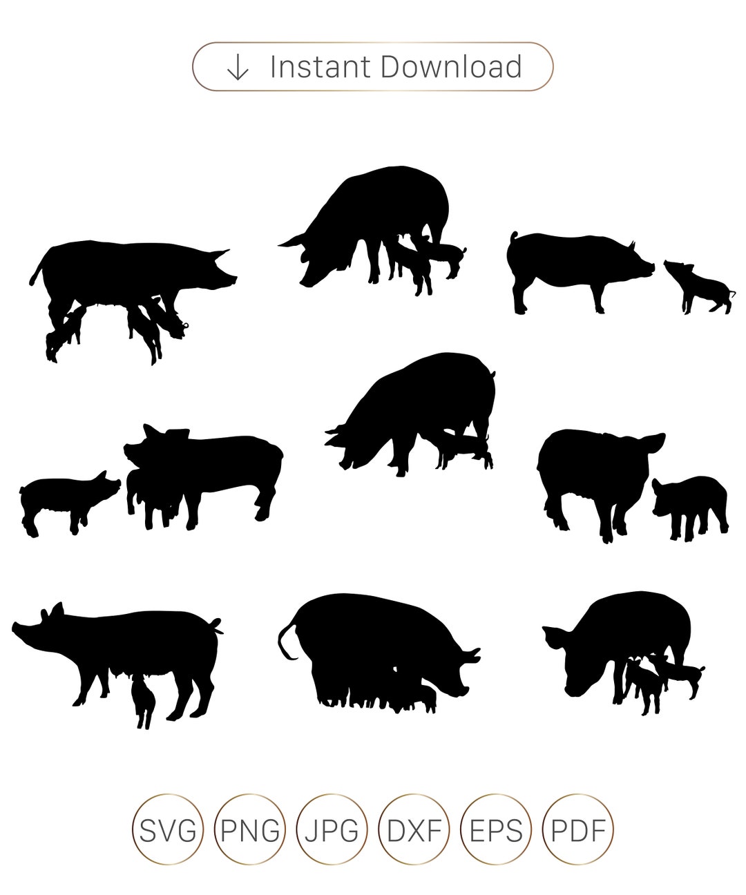 Pig SVG, Show Pig SVG, Pig Silhouette Svg,png,dxf,eps, Pig Outline ...
