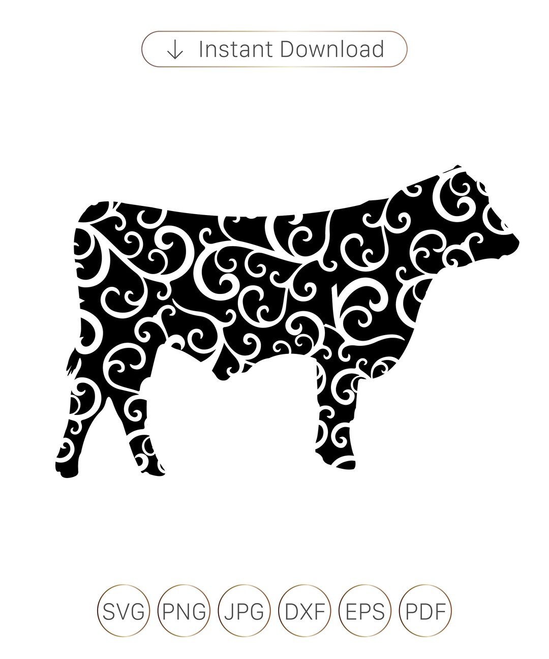 Steer Svg,floral Show Steer Svg,show Steer Svg,floral Show Steer Cricut ...