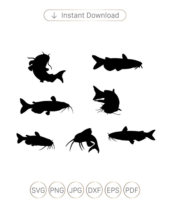 Catfish Fishing Svg Fishing Svgcatfish Svgcatfish Clipart | Etsy