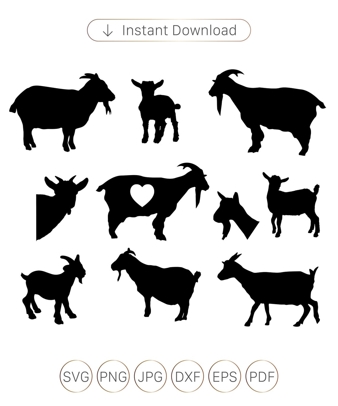 Goat SVG, Pygmy Goats SVG, Pygmy Goats Silhouette, Livestock Svg File ...