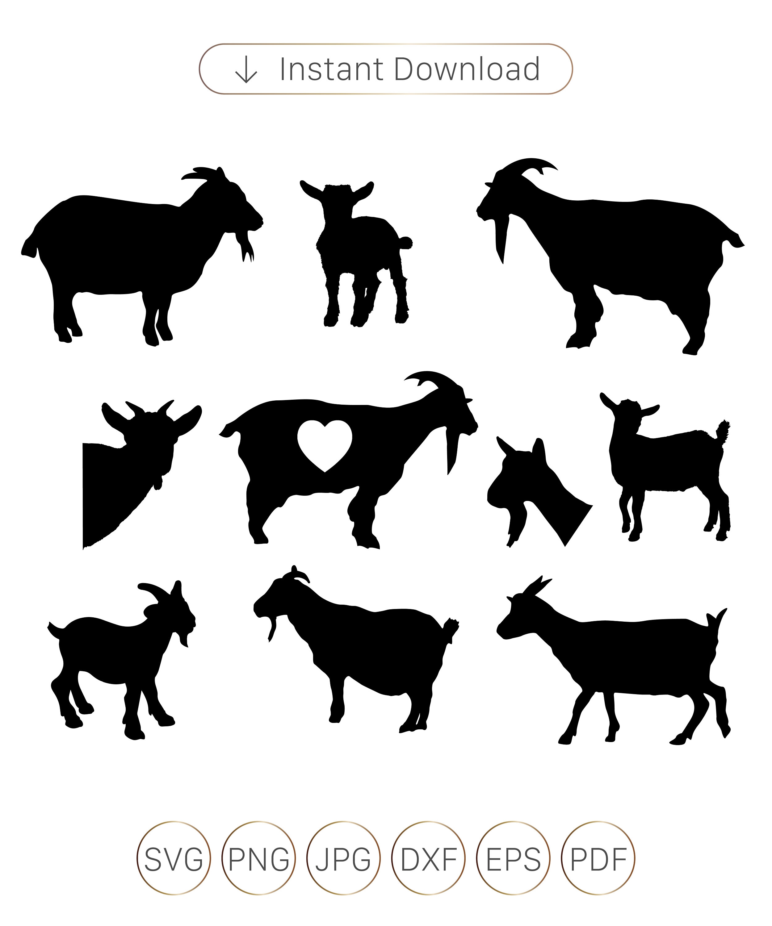 Pygmy Goat Silhouette