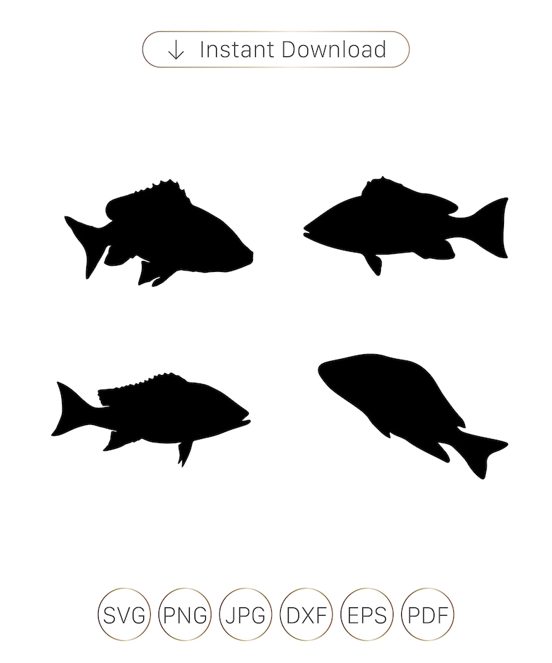 Snapper Svgred Snapper Svgred Snapper Fish Svgred Snapper | Etsy