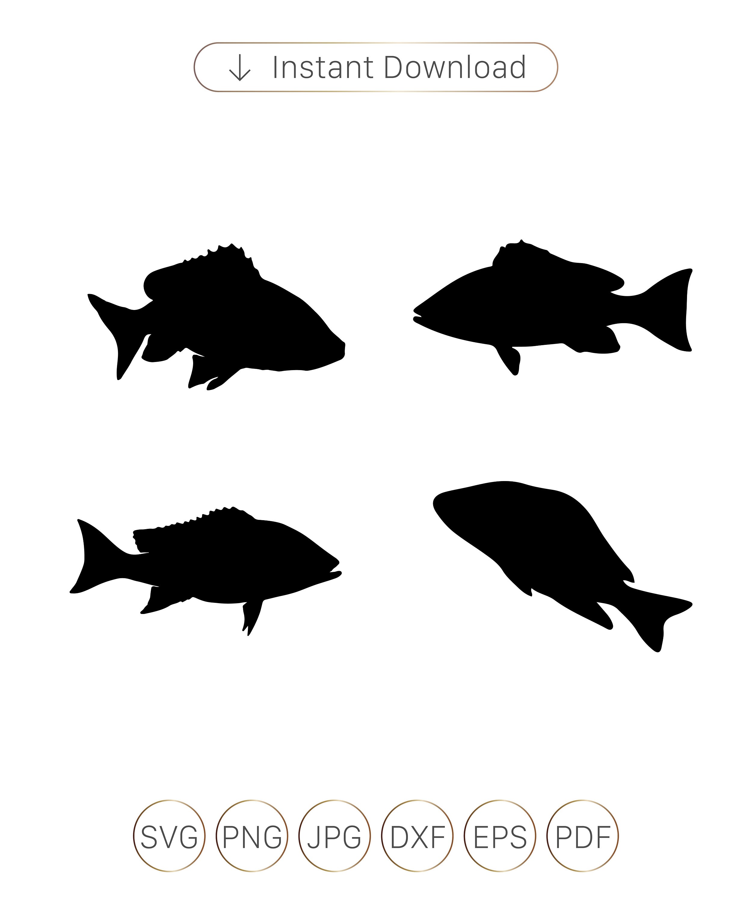 Snapper Svgred Snapper Svgred Snapper Fish Svgred Snapper | Etsy